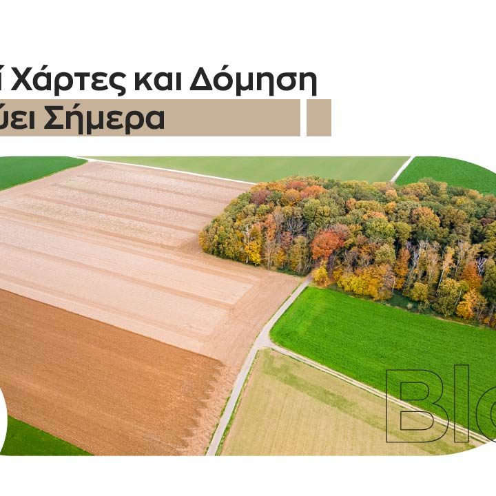 Οδηγός Ιδιόγραφης Διαθήκης | Λιάνα Βασιλεία Παπαδοπούλου